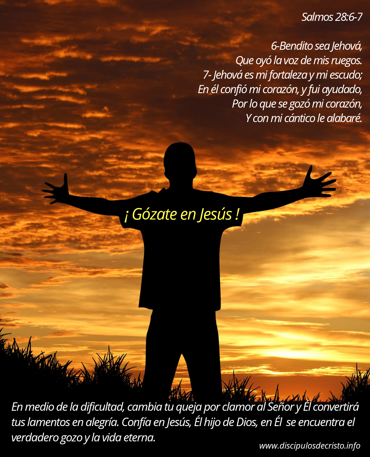 Gozo – Discipulado Cristiano